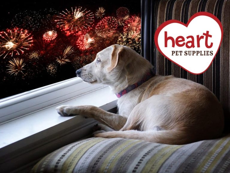 Home - Heart Pet Supplies | Free Same Day Local Delivery